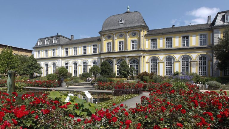 Que faire à Bonn ? Nos immanquables en 2022 | Visite Bonn